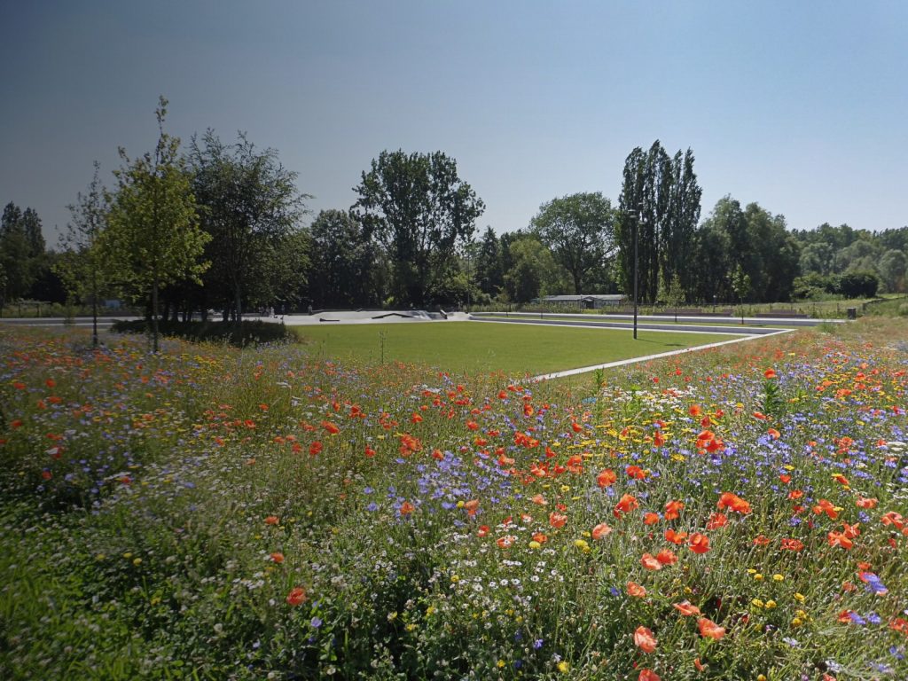 Grasklinker NCB - Hosper